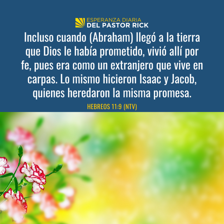 Cuantas Promesas de Dios Hay en la Biblia: Un Recorrido Detallado por ...