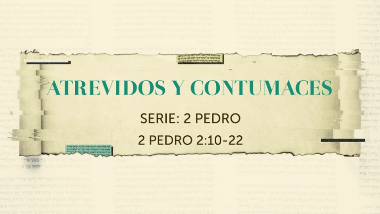 Significado de Contumaz en la Biblia: Guía Detallada para Entender Este ...