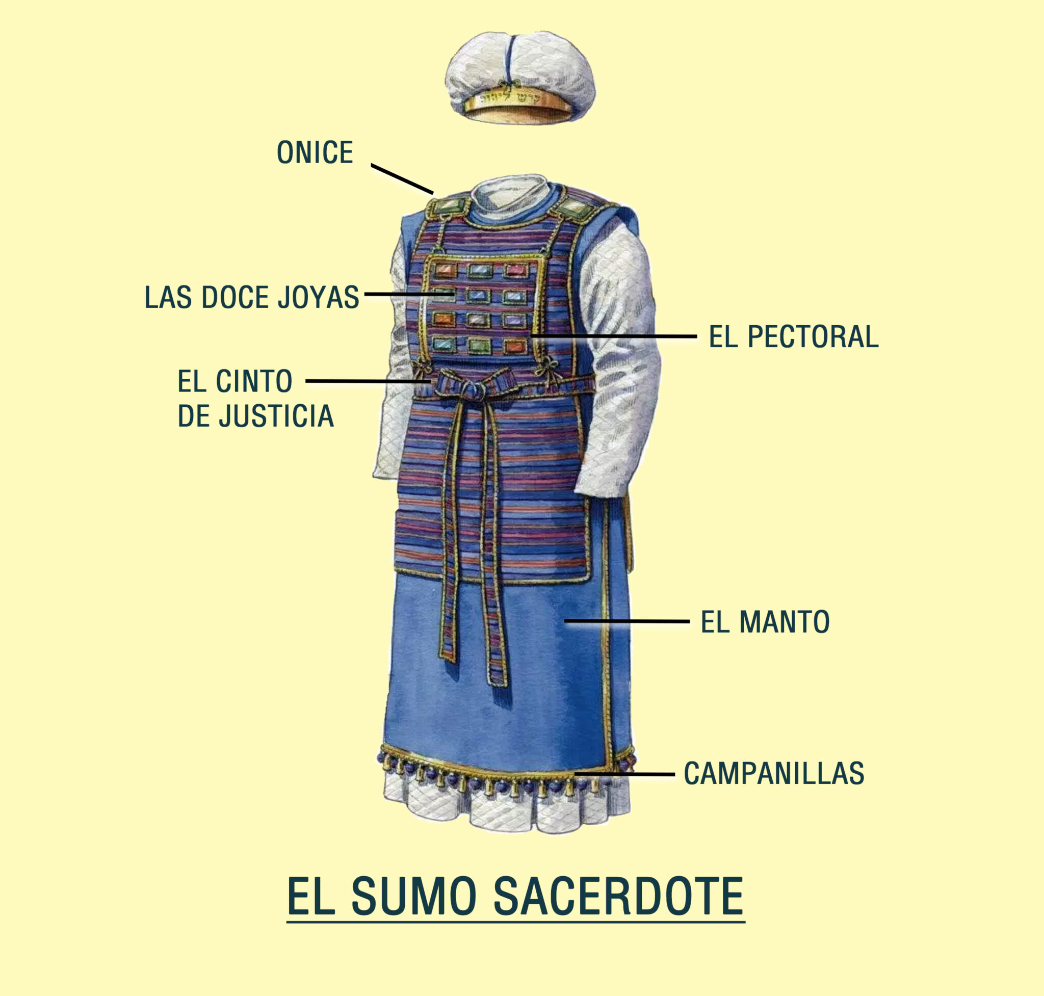Vestidura de los Sacerdotes en la Biblia: Un Estudio Profundo sobre su ...